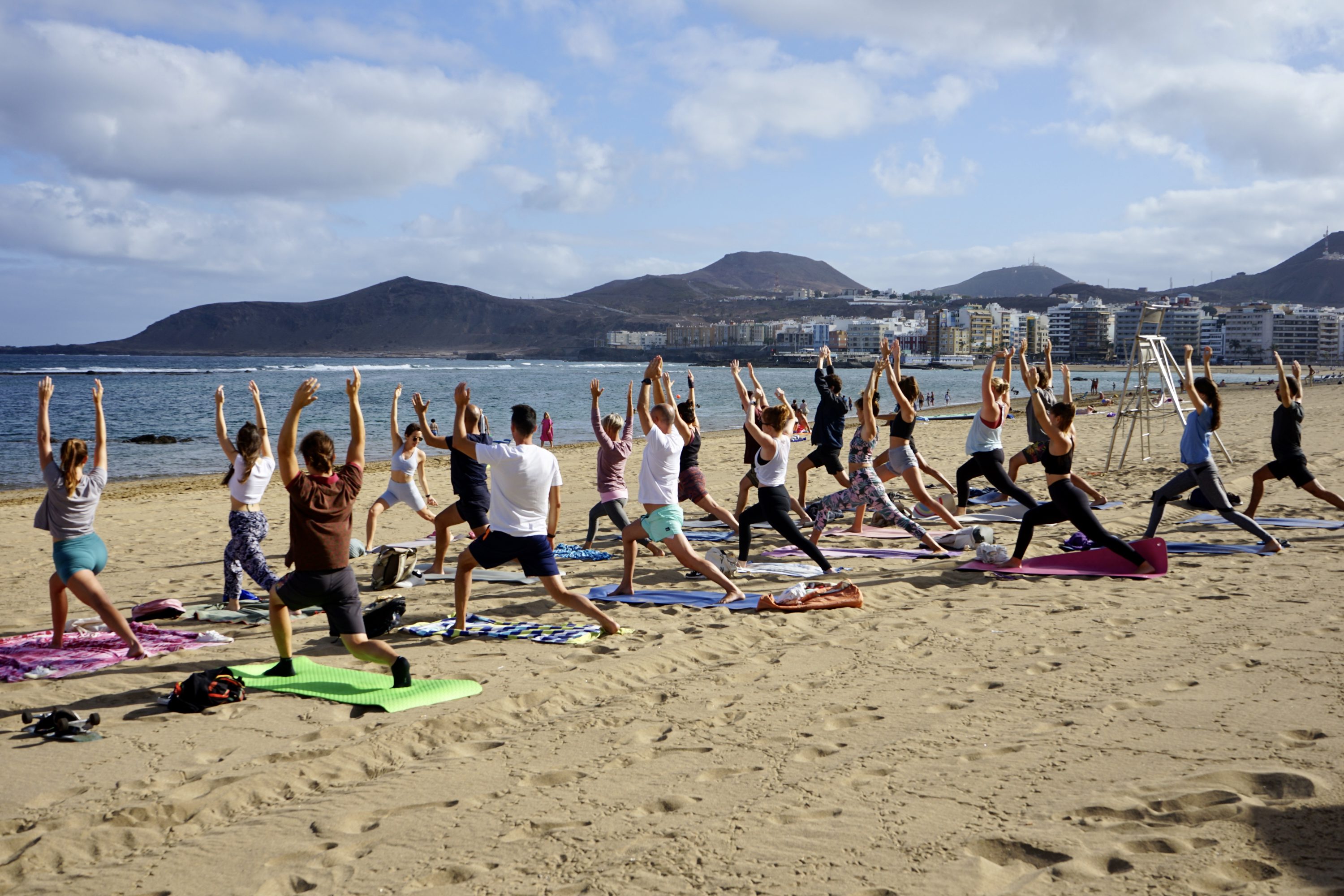 Organizer - Yoga Trade